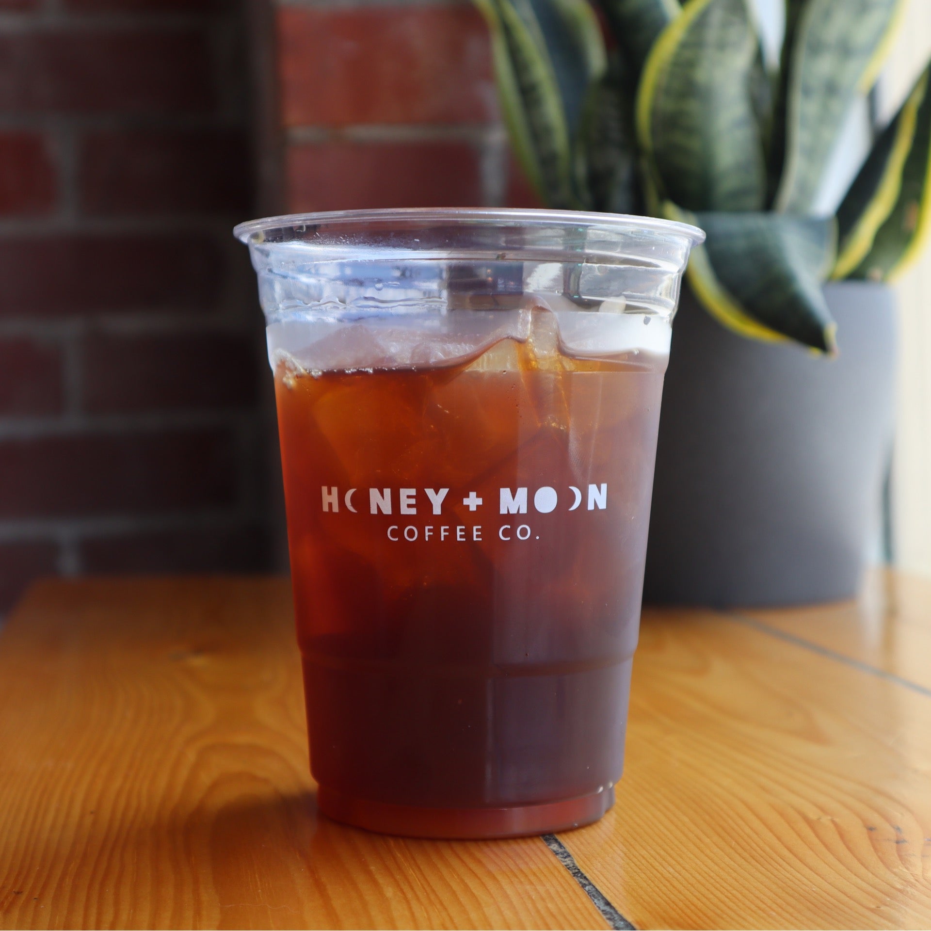 Cold Brew Honey Moon Coffee Co Cold Brew Honey Moon Coffee Co